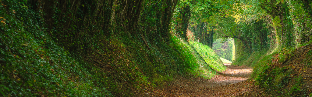 EOS Stewardship | Federated Hermes Limited