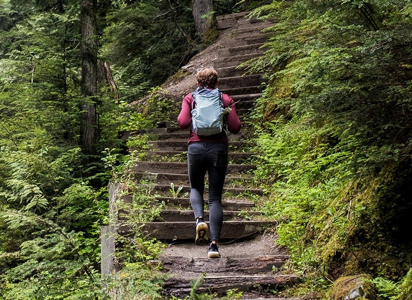 EOS Stewardship | Federated Hermes Limited