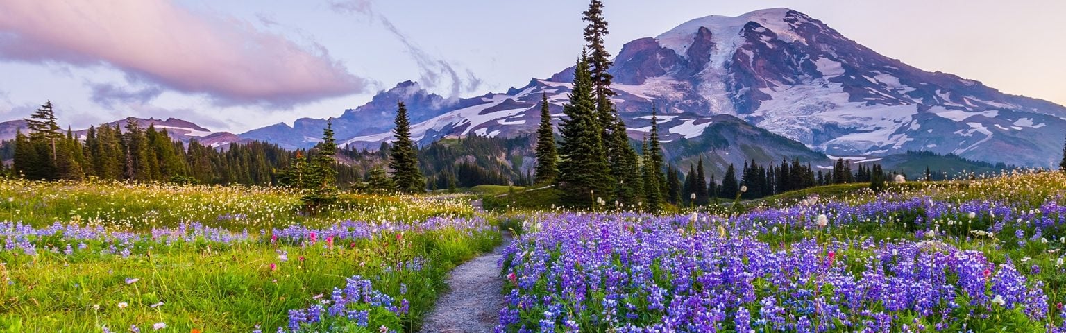 EOS Stewardship Report 2024 | Federated Hermes